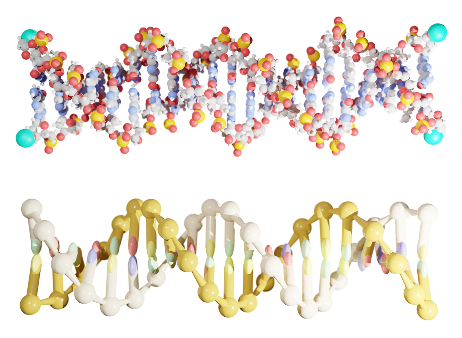 Interactive design and simulation of coarse-grained molecular dynamics ...